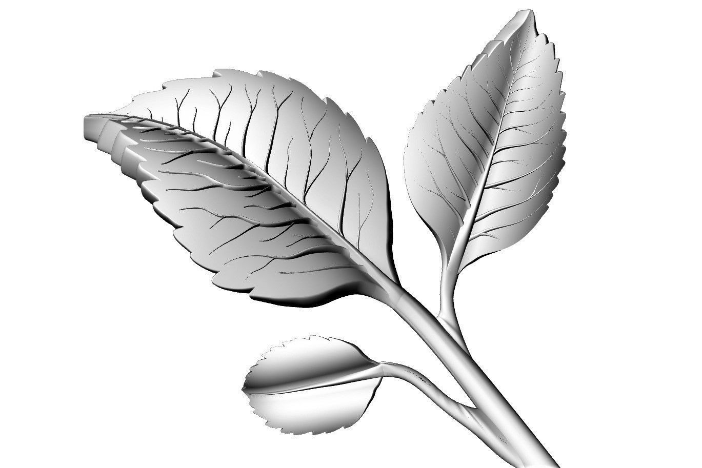 Rose Bud 3D model | CGTrader