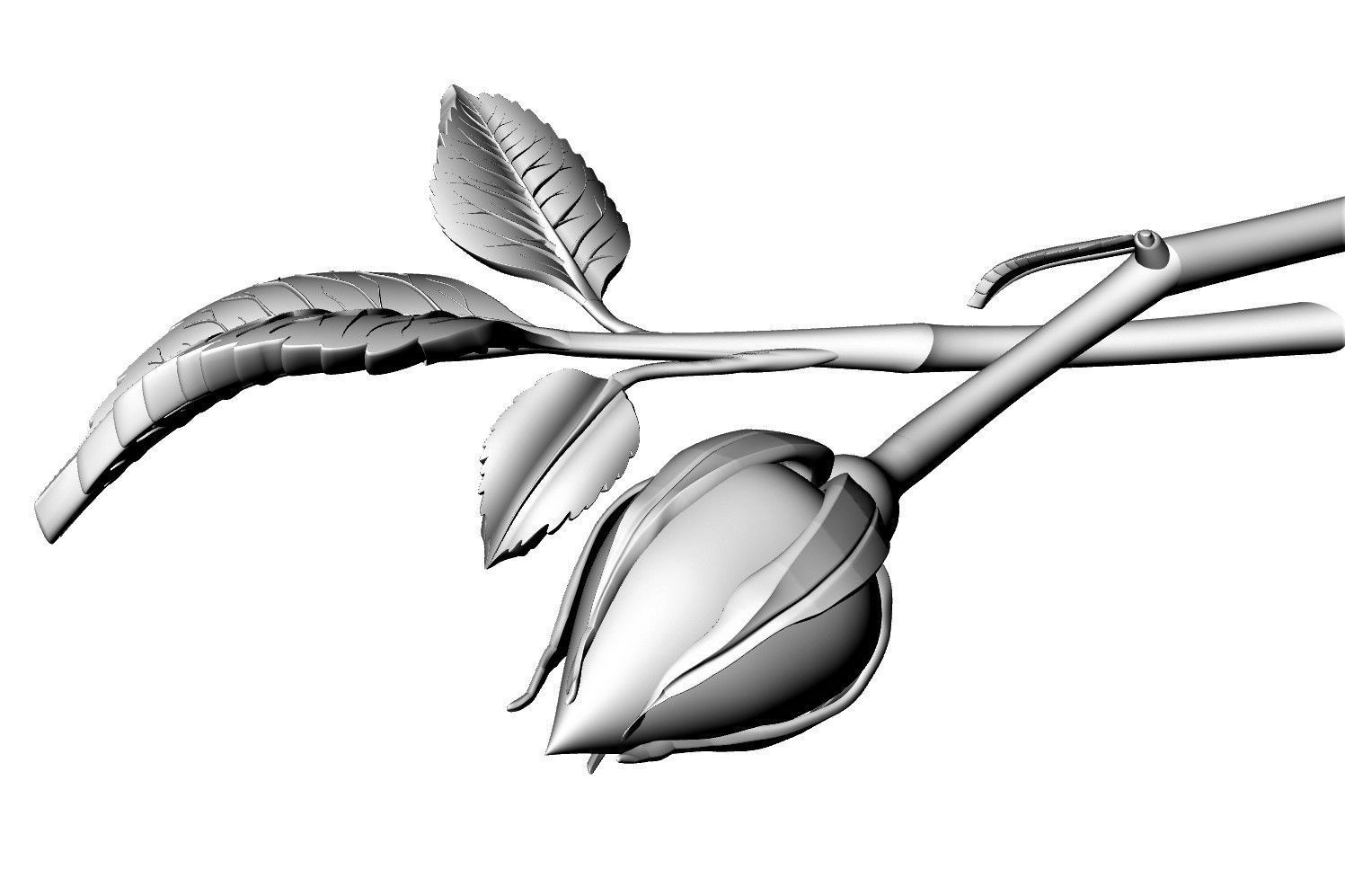 Rose Bud 3D model | CGTrader