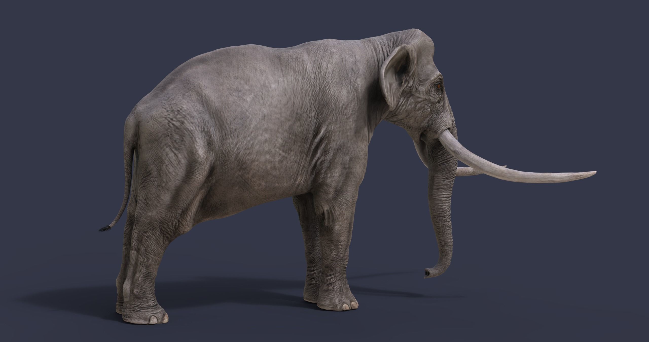 3D model Extinct animals pack version 16 VR / AR / low-poly | CGTrader