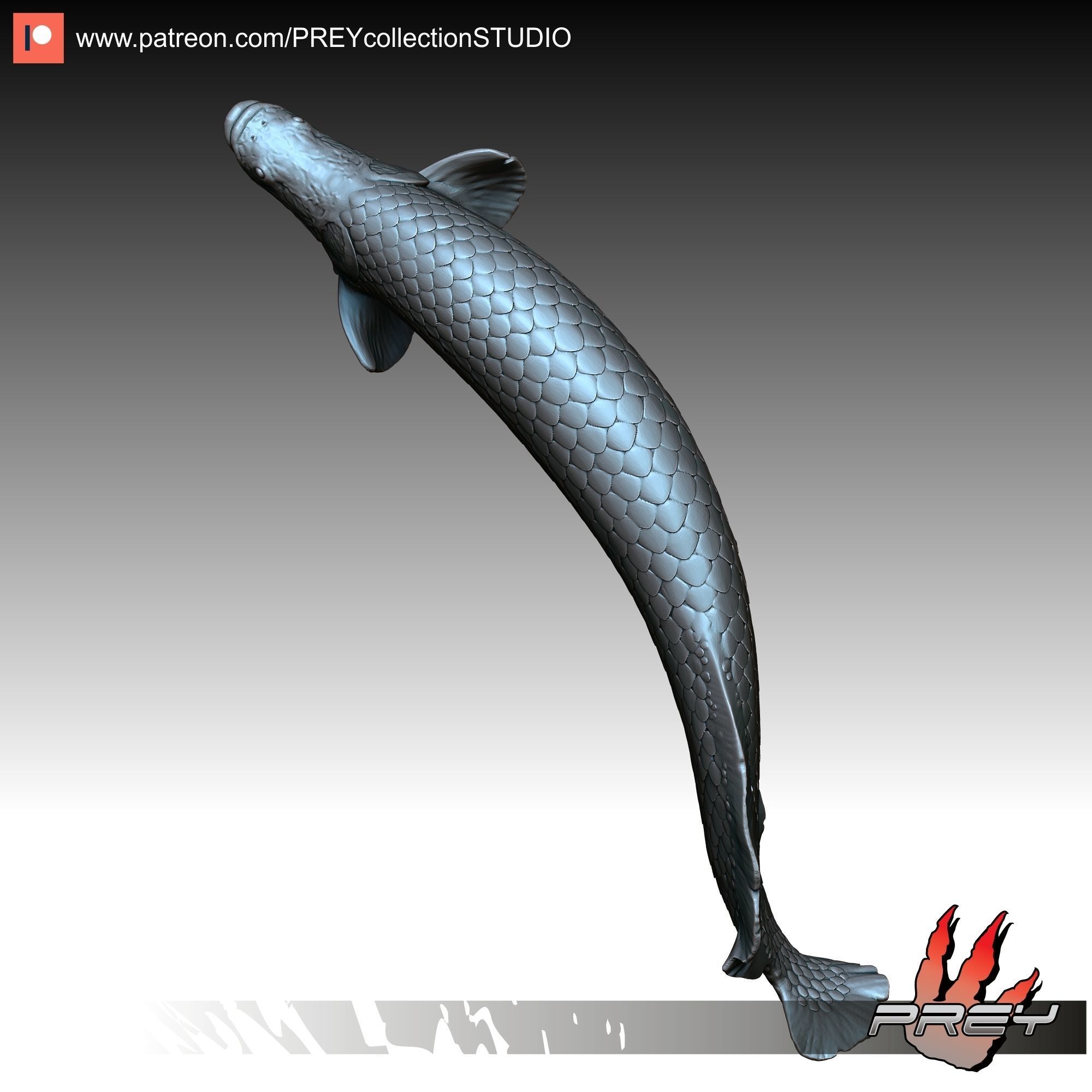 ARAPAIMA 3D model 3D printable | CGTrader