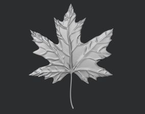 Maple tree 3D Printing Models | CGTrader