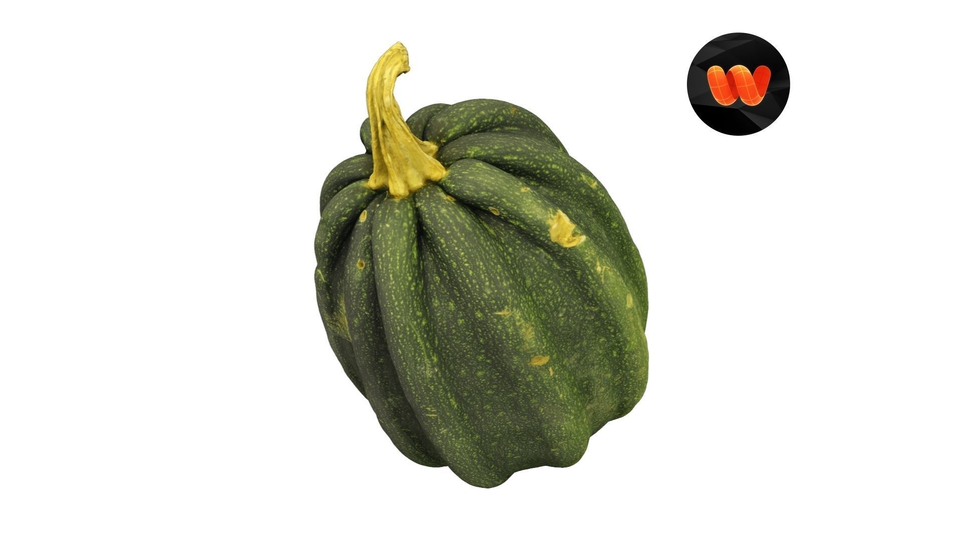 Mogango Winter Squash - Extreme Definition Scanned 3D model | CGTrader