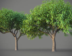 Animated Xfrogplants 3D Models | CGTrader