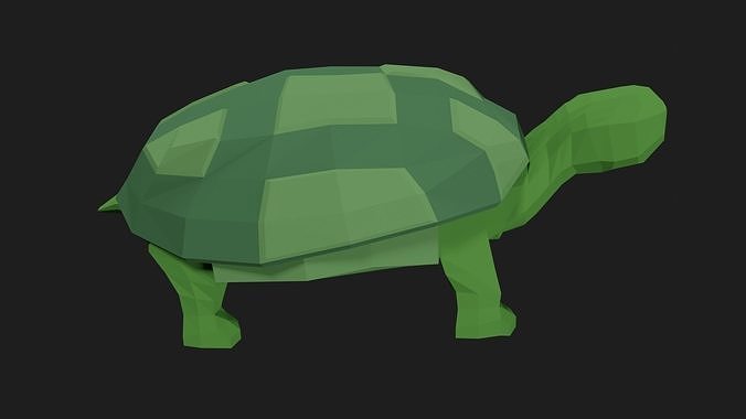 3D model Lowpoly Turtle VR / AR / low-poly | CGTrader
