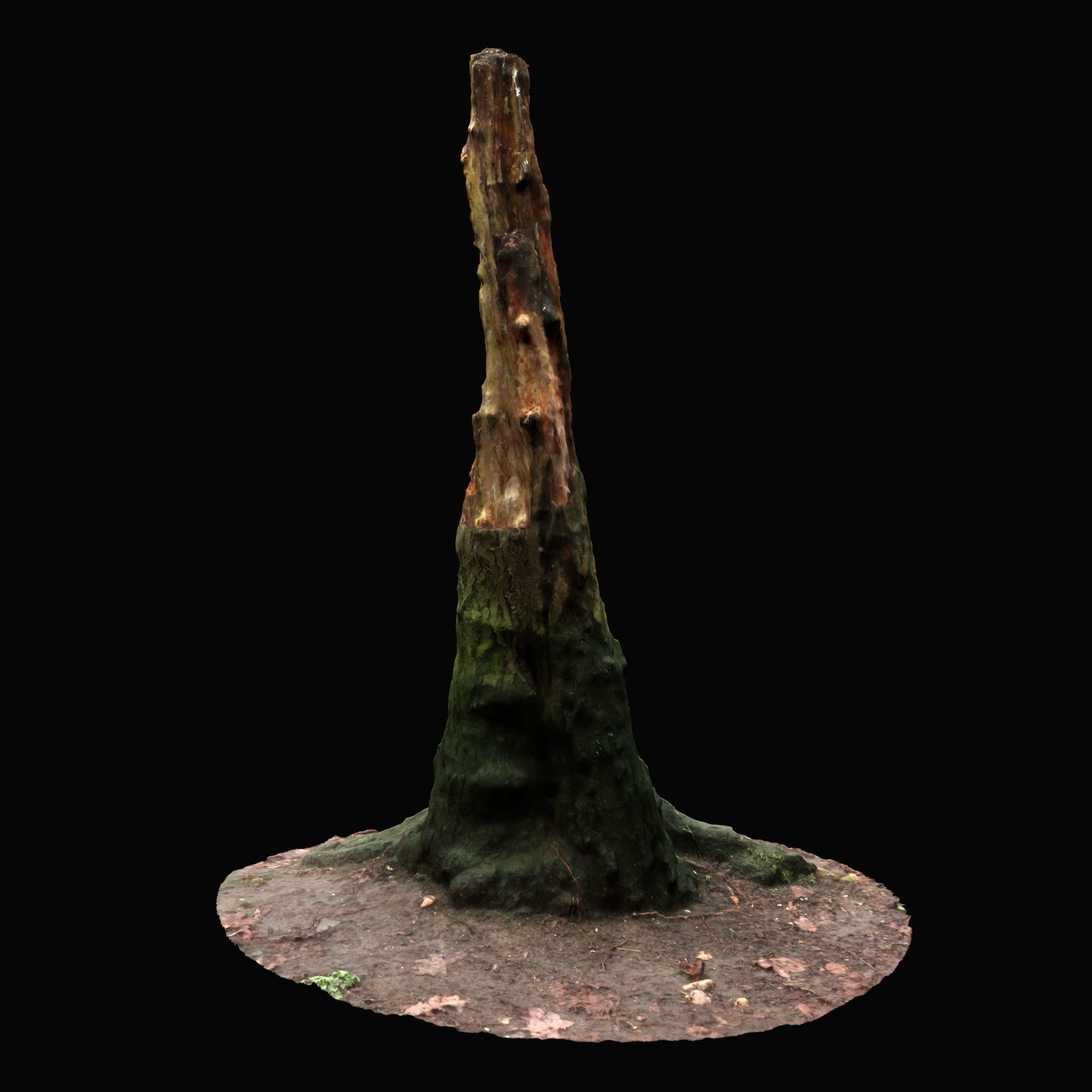 Photo-scan Broken Tree Stump 3D model | CGTrader