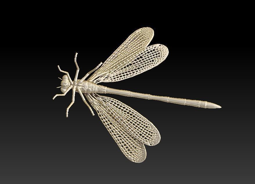 Dragonfly 3D model 3D printable | CGTrader
