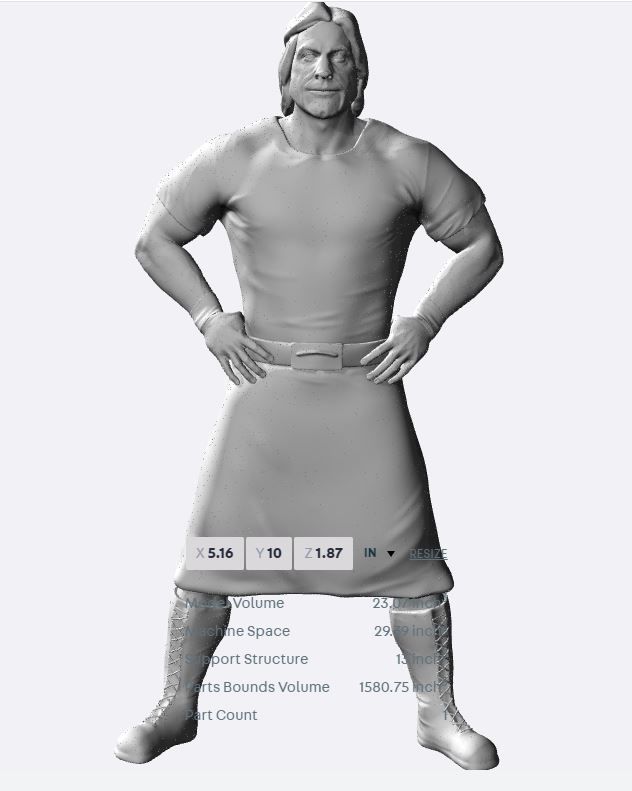 Fun WWE Pro Wrestling Figurine - Roddy Piper 3D Print Model 3D model 3D ...