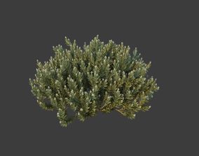 Animated Xfrogplants 3D Models | CGTrader