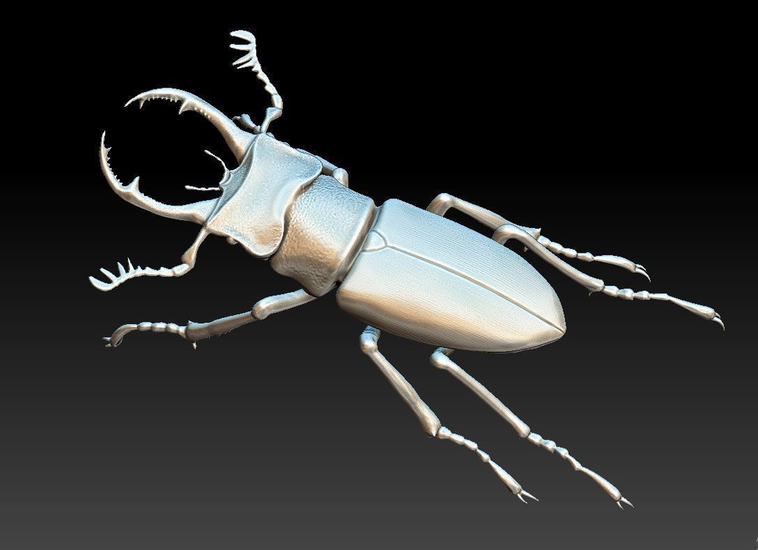 Stag beetle 3D model 3D printable | CGTrader