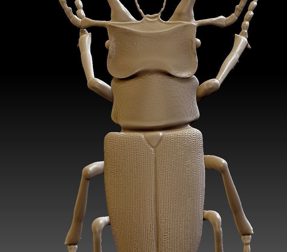 Stag beetle 3D model 3D printable | CGTrader