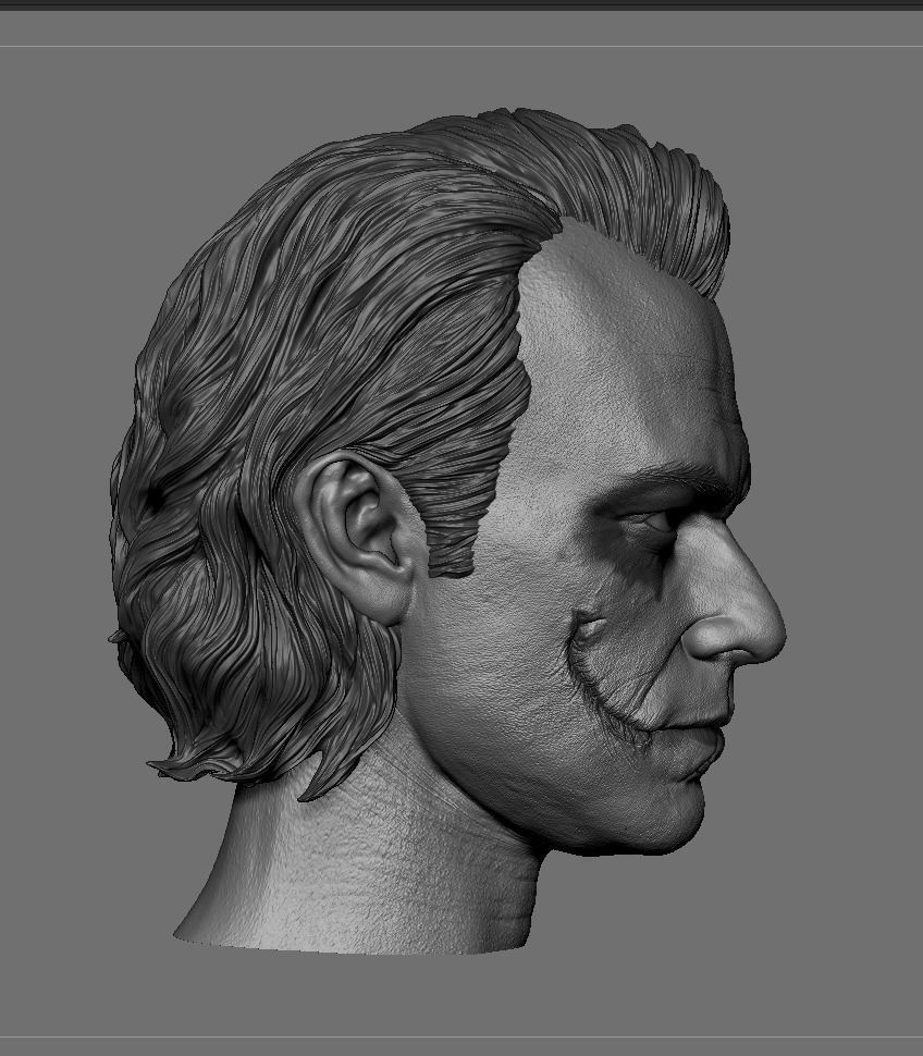 Joker- Heath Ledger Head 3D model 3D printable | CGTrader