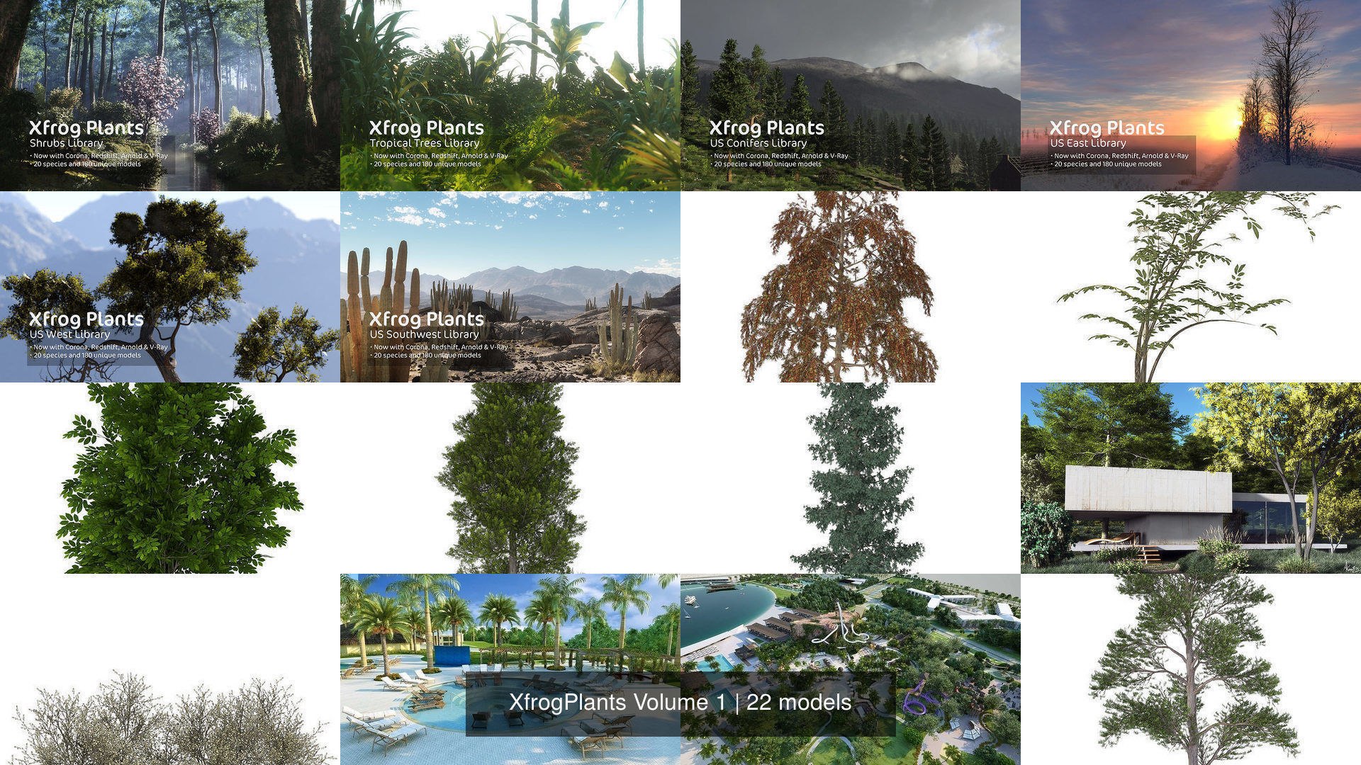 XfrogPlants Volume 1 3D Model Collection | CGTrader