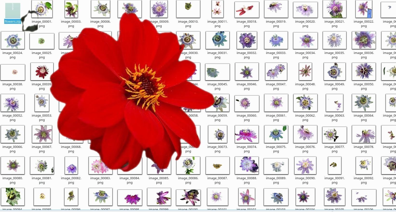 Flower sprites x8000 free 3D model | CGTrader