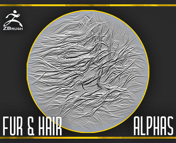 Fur and Hair Alphas for ZBrush 3D model | CGTrader