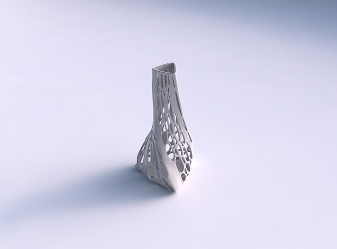Vase twist tilted triangle with organic lattice and solid sides 3D ...