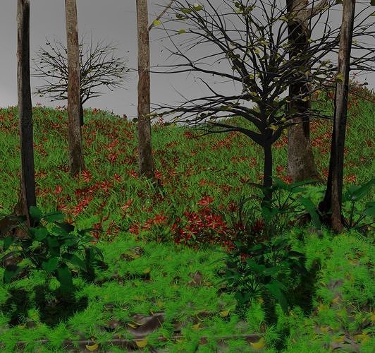 red grassy field free 3D model | CGTrader
