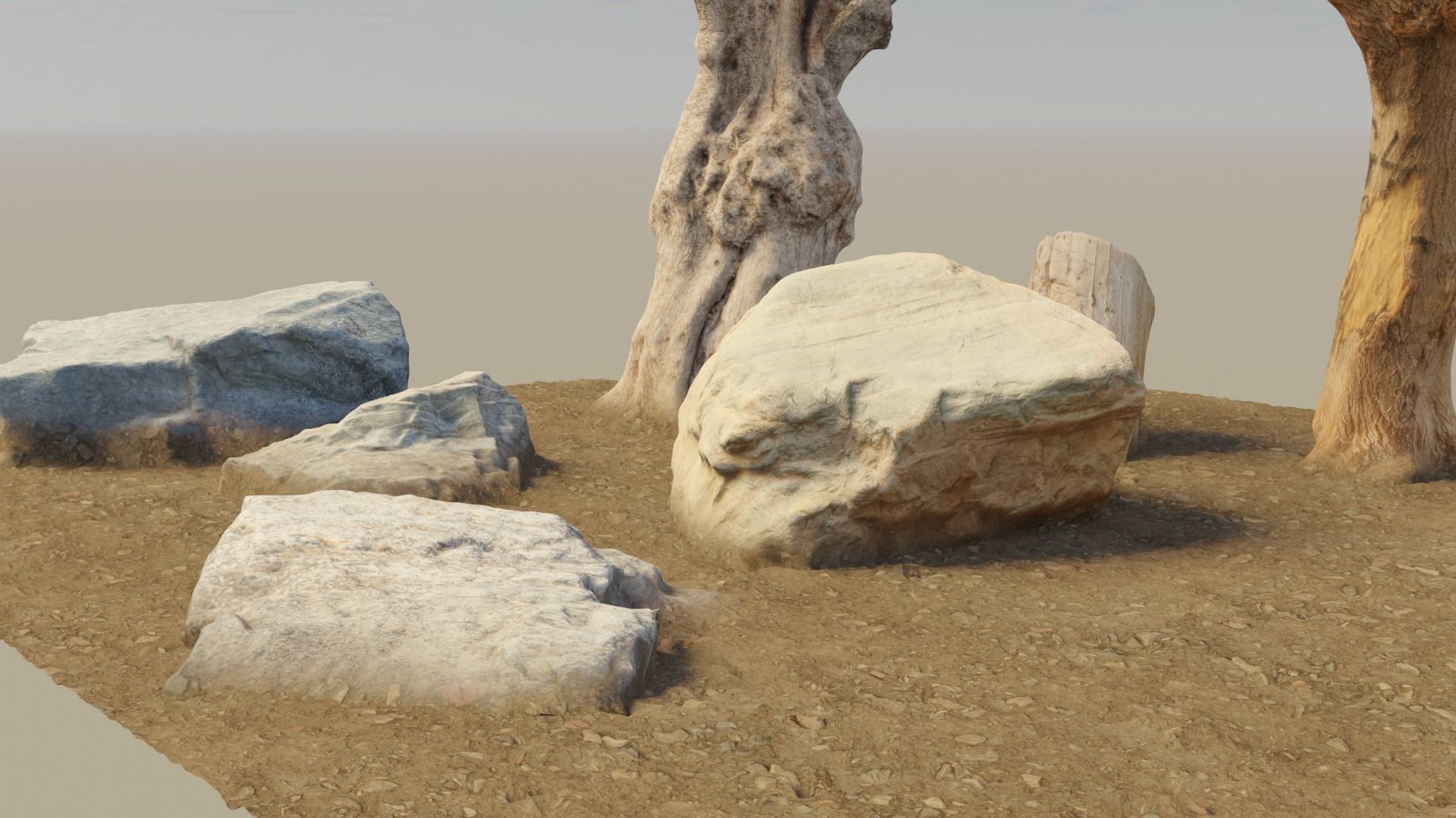 High quality Photogrammetry scans 3D model | CGTrader