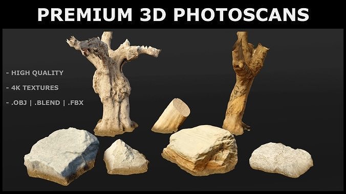 High quality Photogrammetry scans 3D model | CGTrader