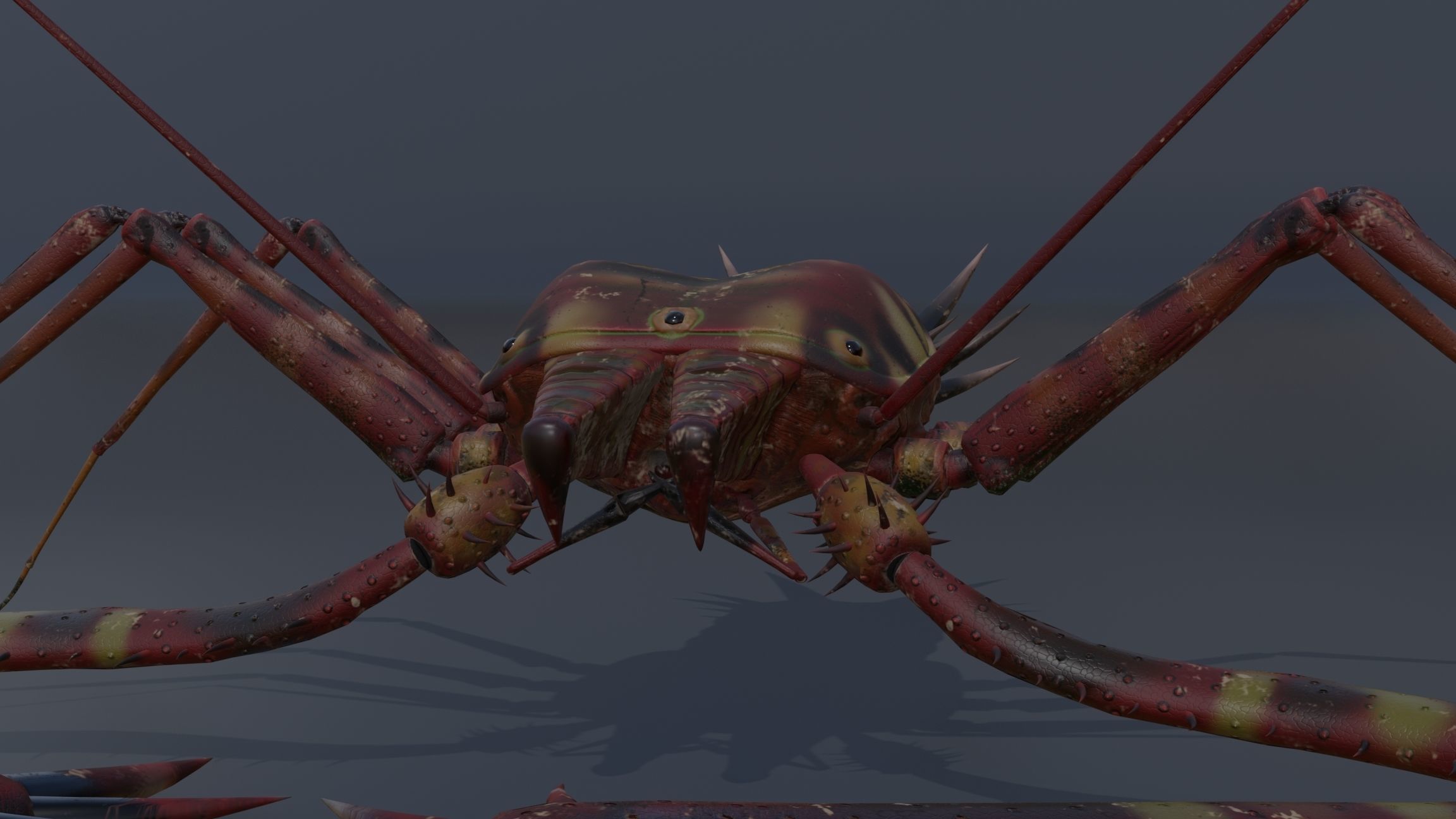 3D model Giant Tick VR / AR / low-poly | CGTrader