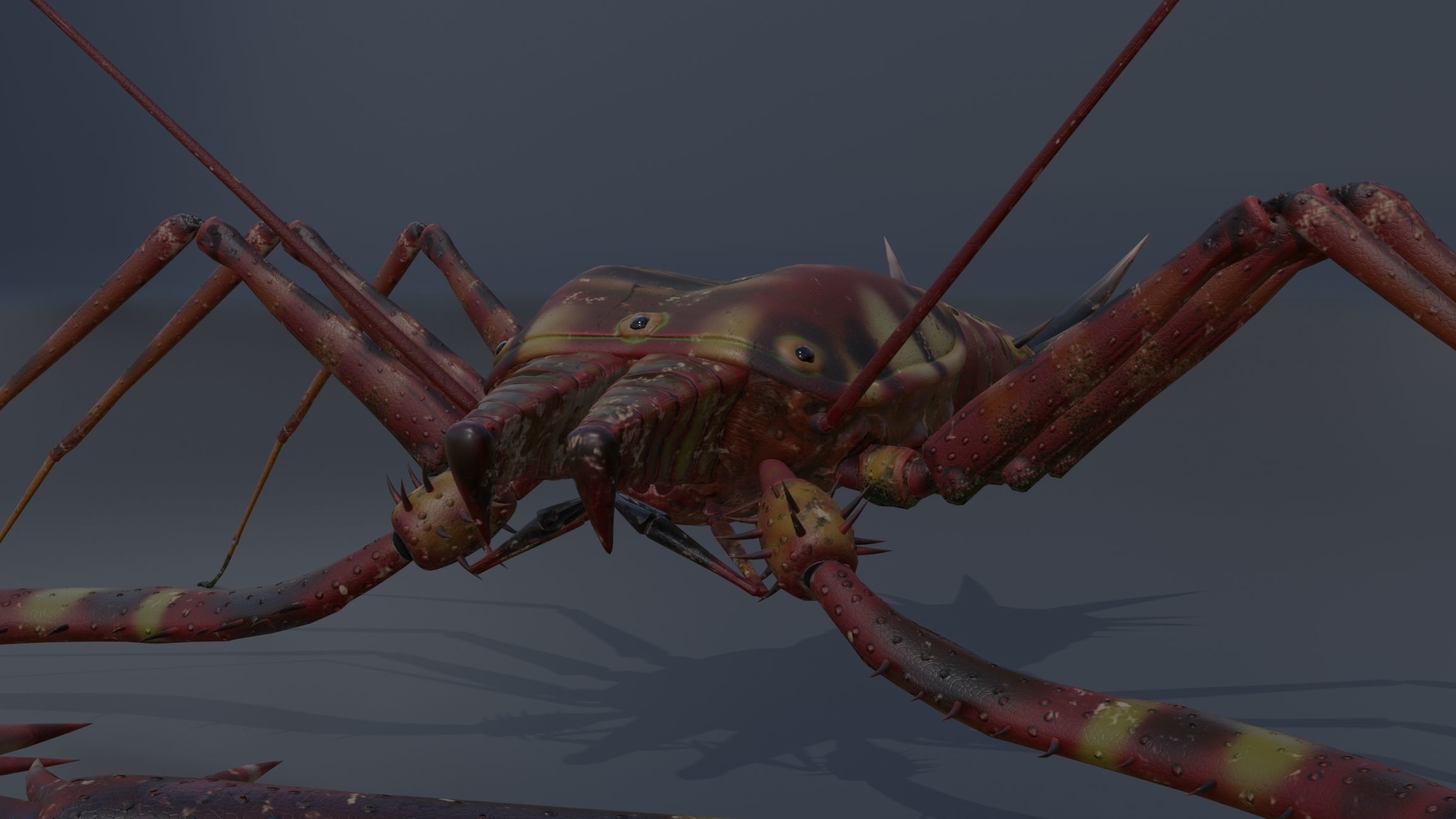 3D model Giant Tick VR / AR / low-poly | CGTrader