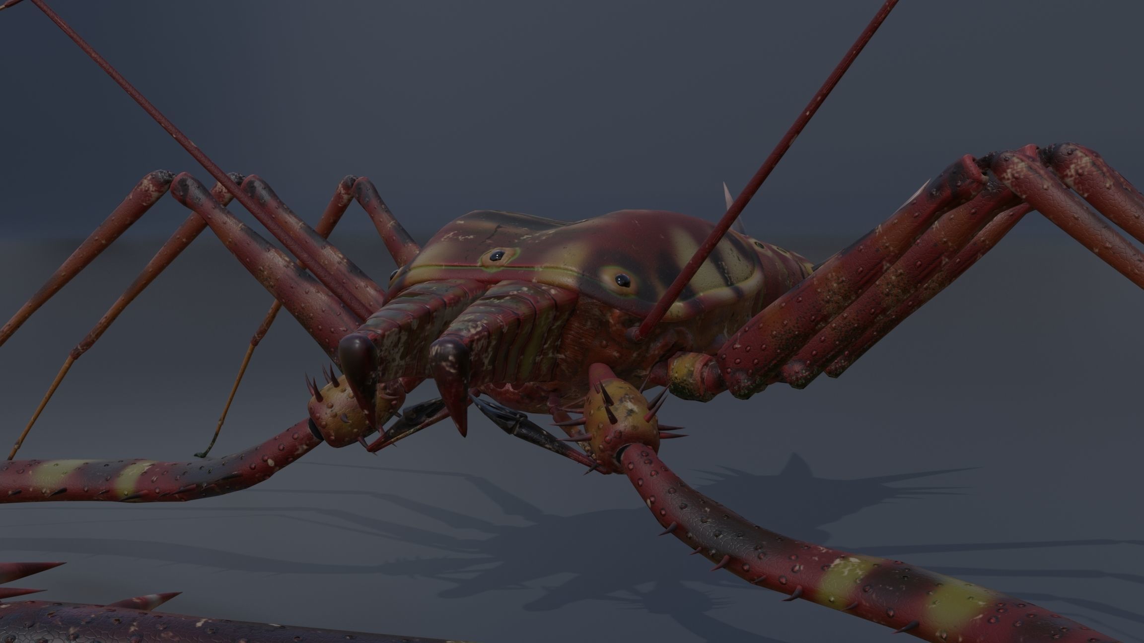 3D model Giant Tick VR / AR / low-poly | CGTrader