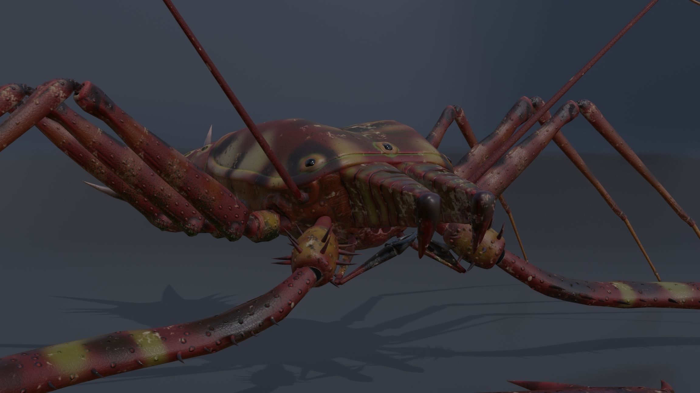 3D model Giant Tick VR / AR / low-poly | CGTrader