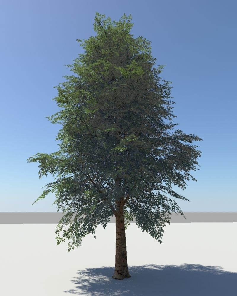 tree 3d models for blend obj format 3D model | CGTrader