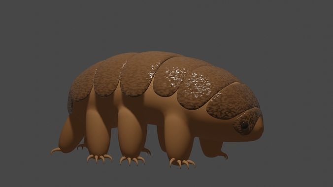 tardigrade 3D model rigged | CGTrader