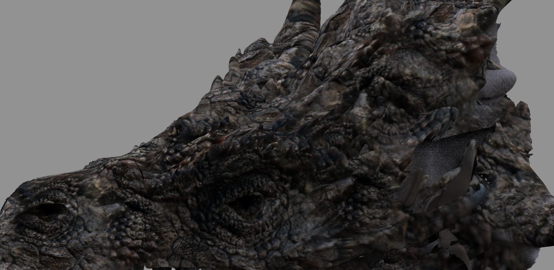 Dragon head lack rough 3D model | CGTrader