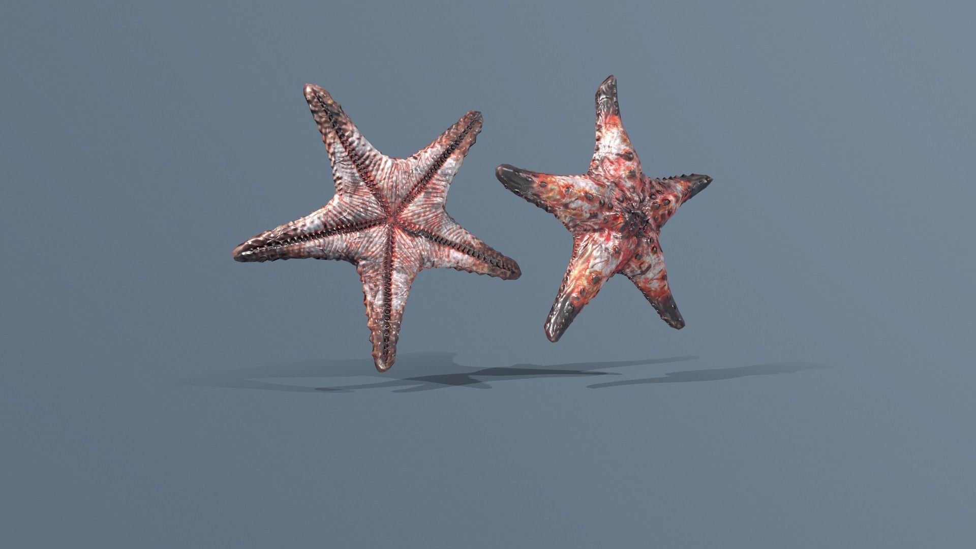 3D model StarFish VR / AR / low-poly | CGTrader