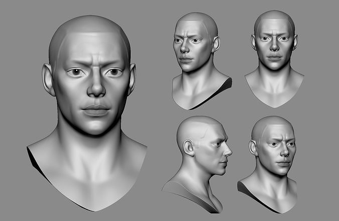 Head Base H01 3D model | CGTrader