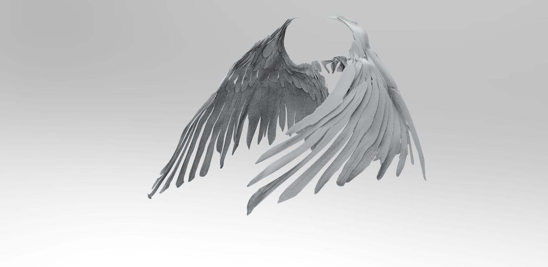 Angel wings front curve 3D model | CGTrader