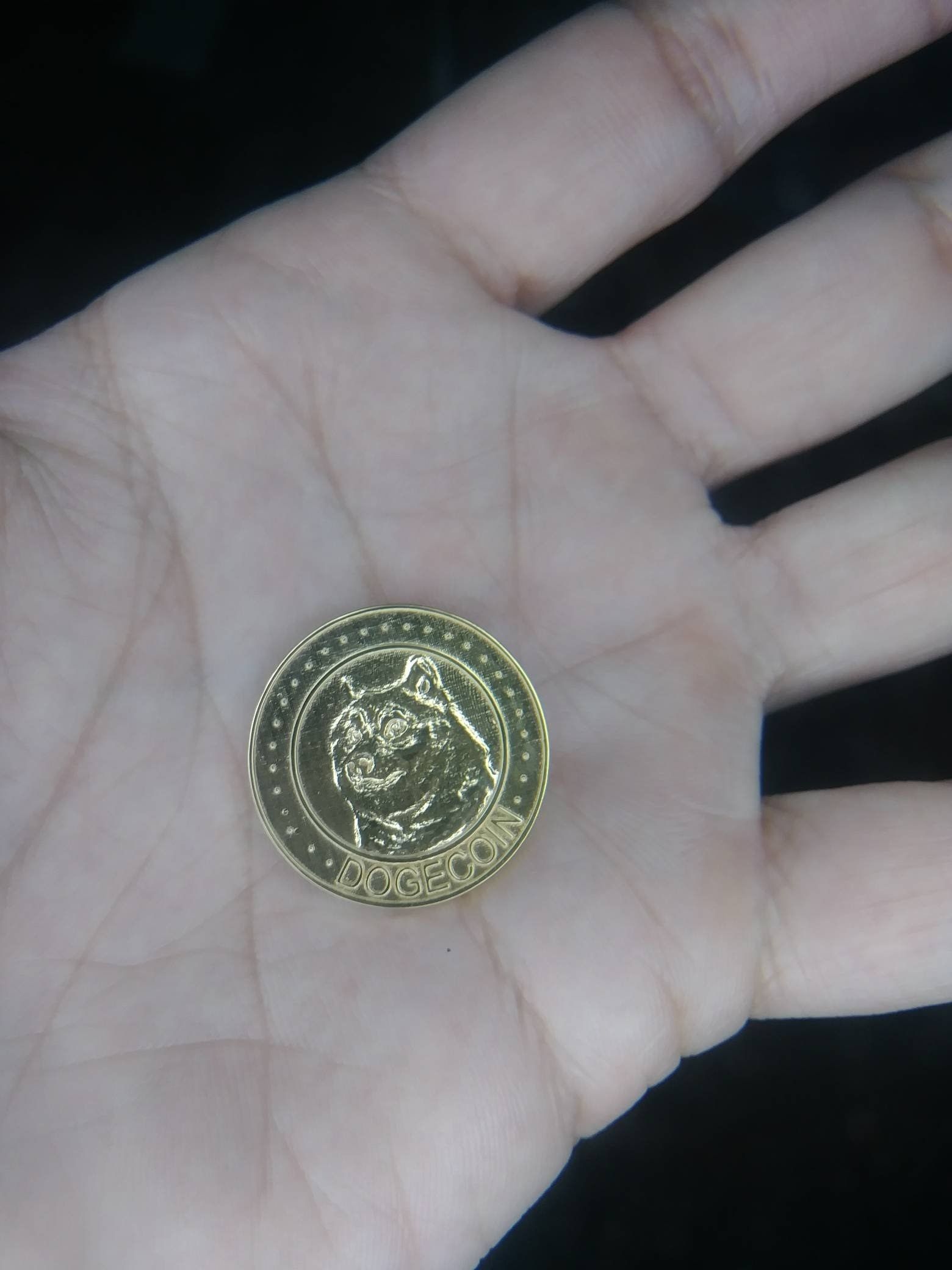 DOGECOIN coin with dog 3D model 3D printable | CGTrader
