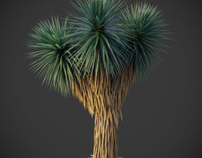 Animated Xfrogplants 3D Models | CGTrader