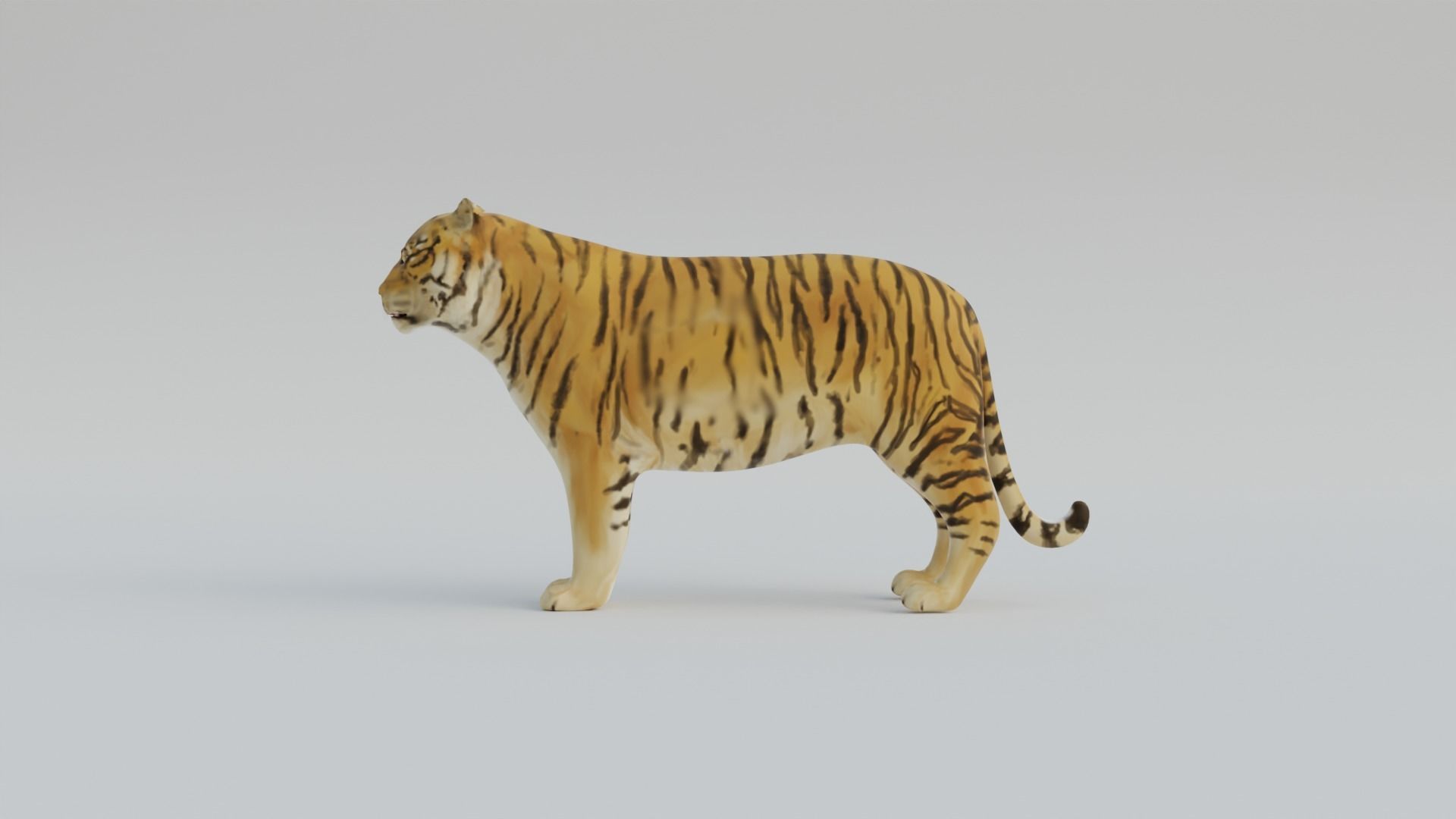 Tiger free 3D model | CGTrader