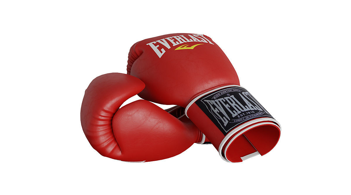 Boxing Equipment BLENDER 3D Model Cycles 3D model | CGTrader