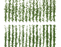 Ivy 3D Models | CGTrader