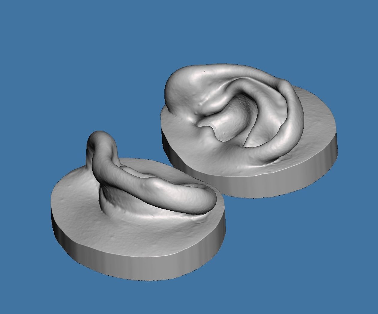Natural human ear anatomy 10yrs boy 3D model 3D printable | CGTrader