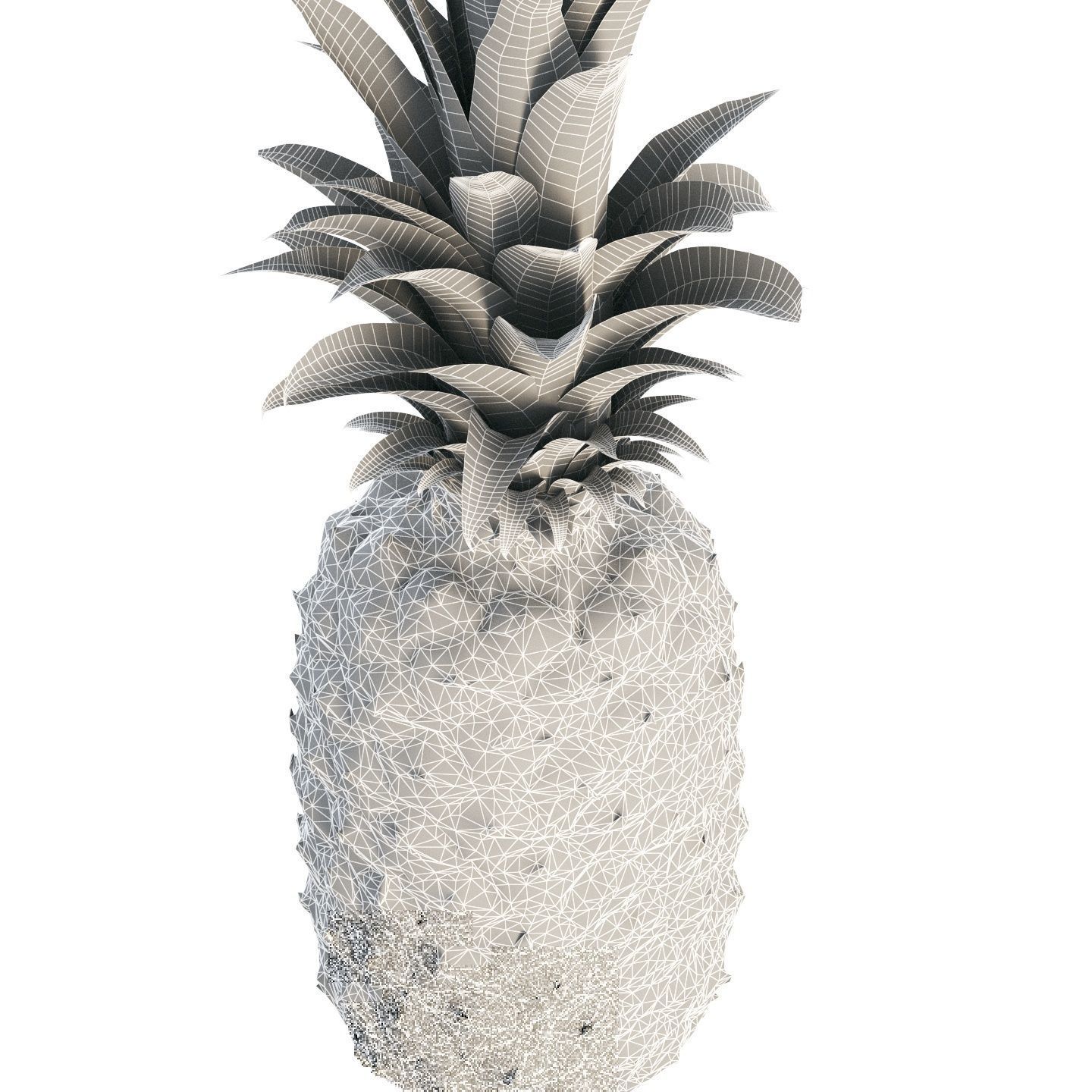 4k Pineapple 3D model | CGTrader