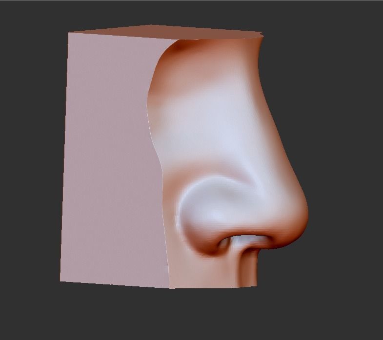 Human nose model It can be printed in 3D Organ nose 3D model 3D ...