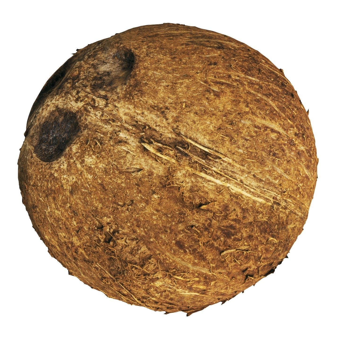 4k coconut 3D model | CGTrader