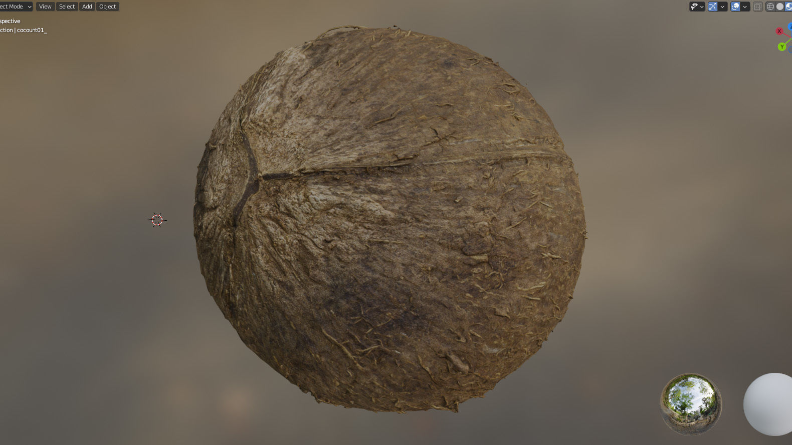 4k coconut 3D model | CGTrader