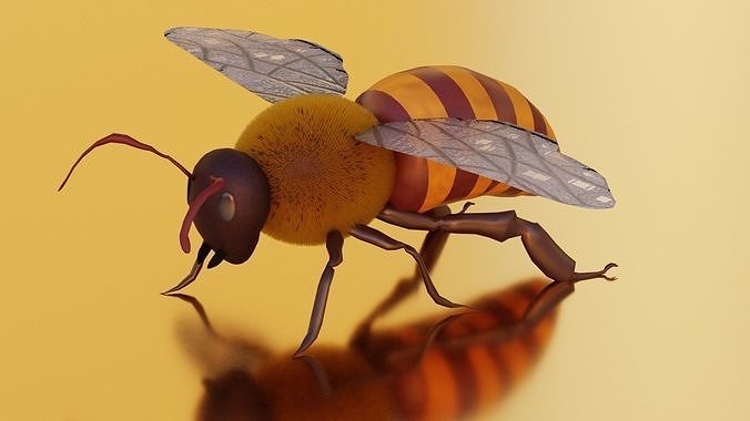 3D model Honey Bee Fairly Realistic VR / AR / low-poly | CGTrader
