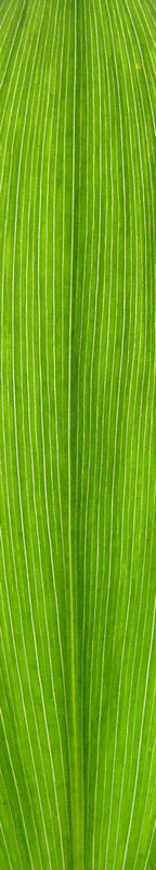 open space kitchen 3D model 3D printable | CGTrader