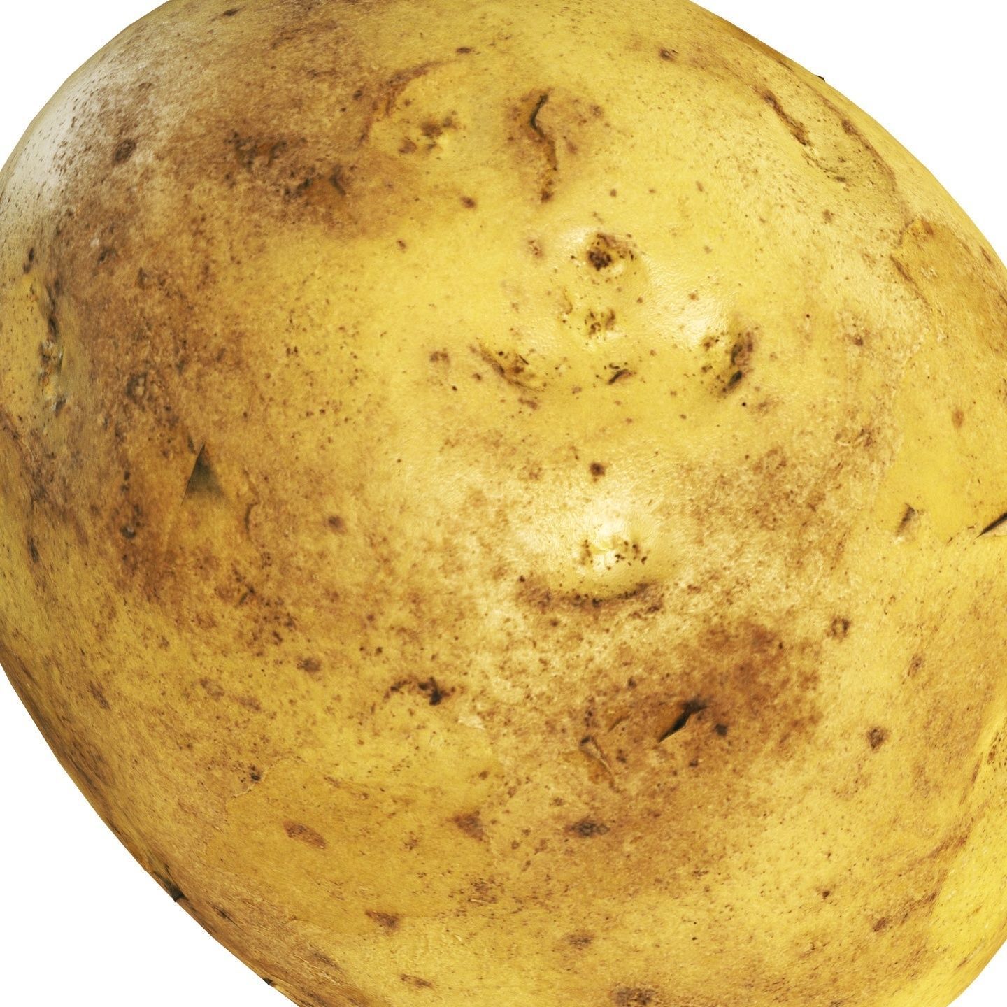 3D model 4k Potato VR / AR / low-poly | CGTrader