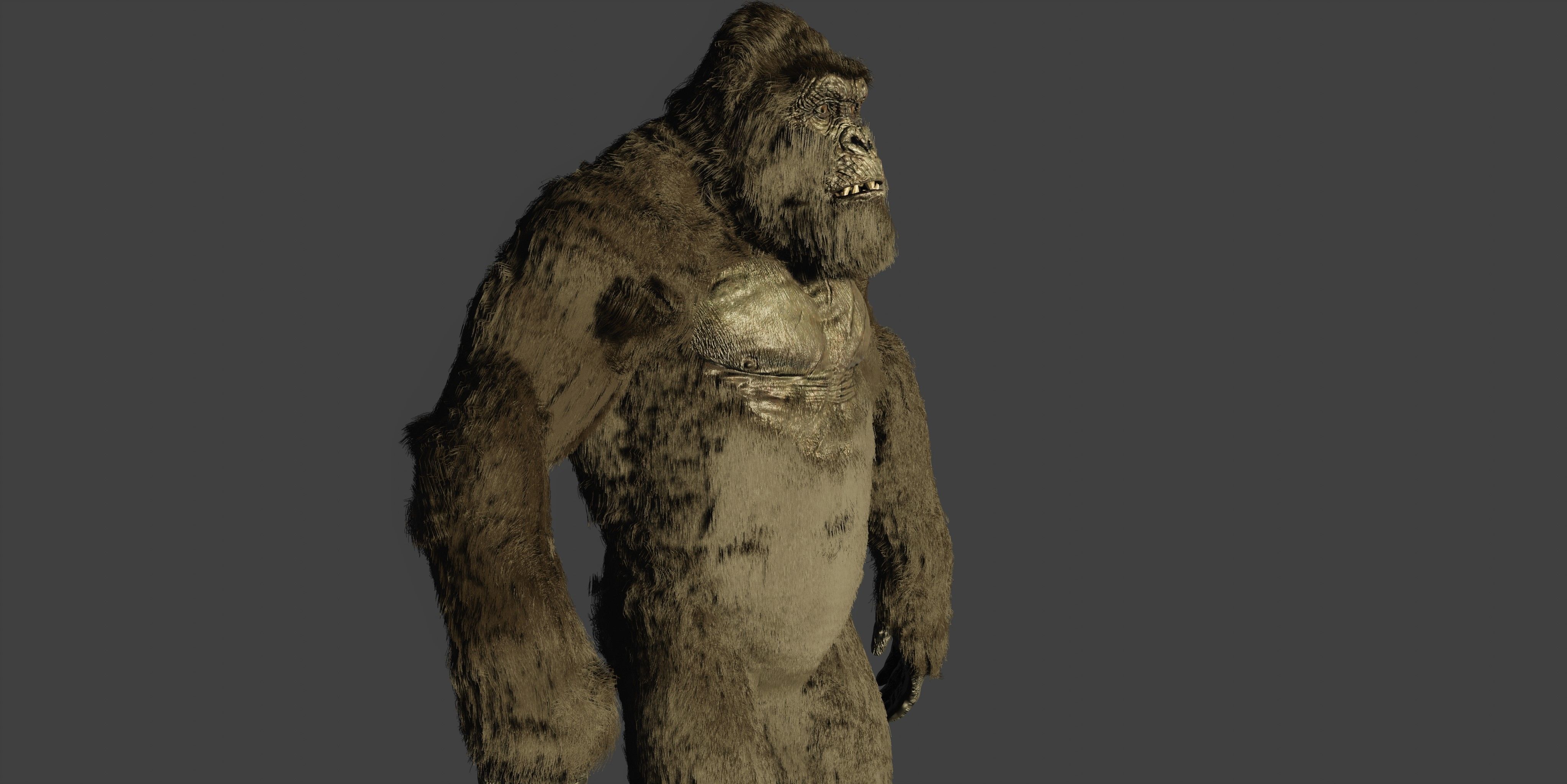 kong 2021 rig free 3D model rigged | CGTrader