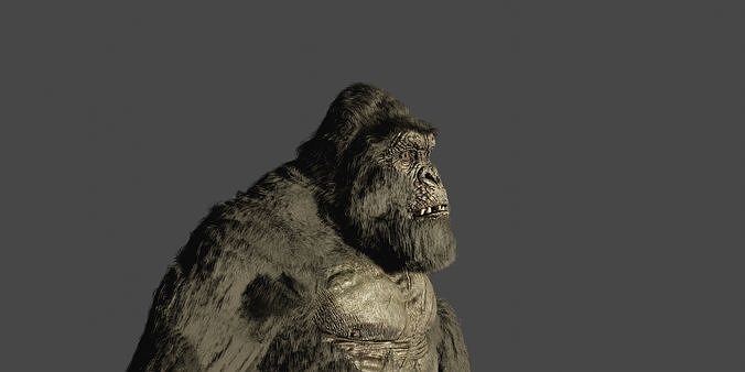 kong 2021 rig free 3D model rigged | CGTrader