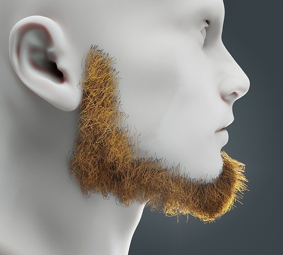 3D model Beard RealTime 3 Version 2 Low Poly VR / AR / low-poly | CGTrader