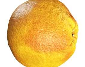 Grapefruit 3D Models | CGTrader
