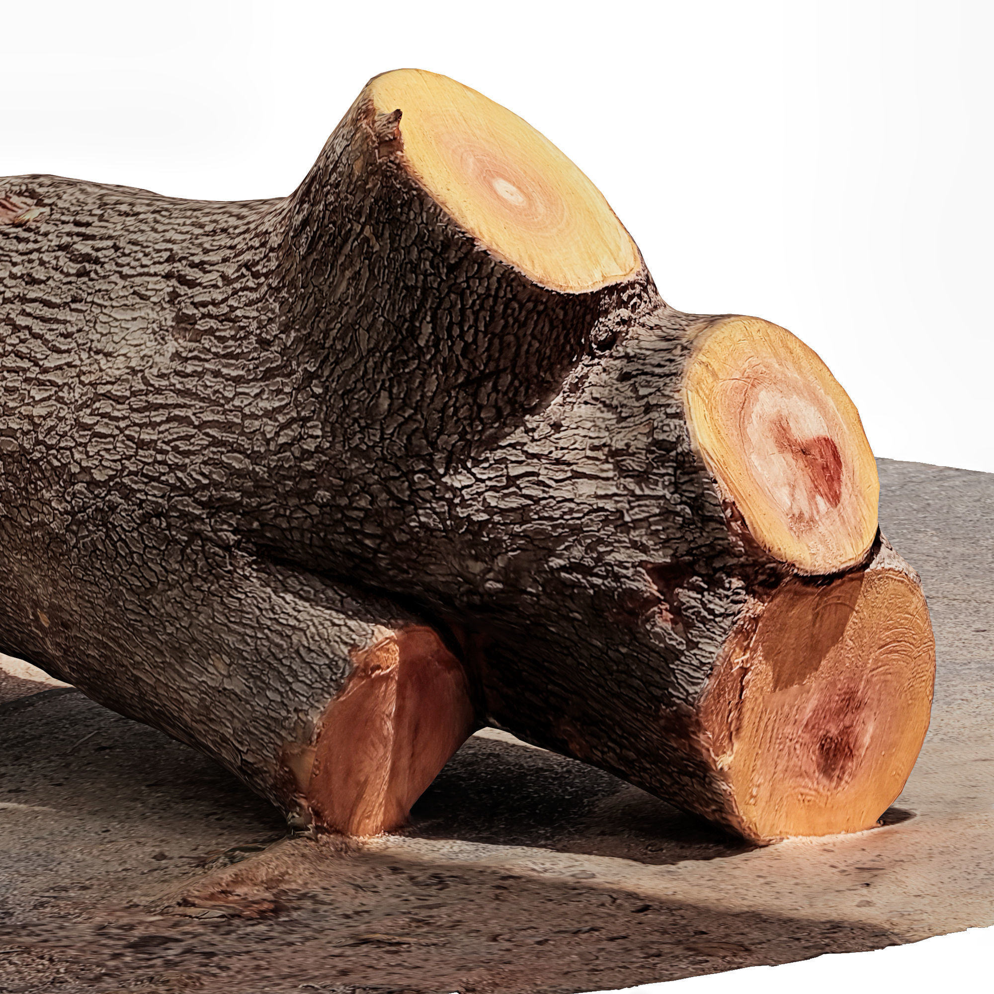 3D model tree trunk 2 VR / AR / low-poly | CGTrader